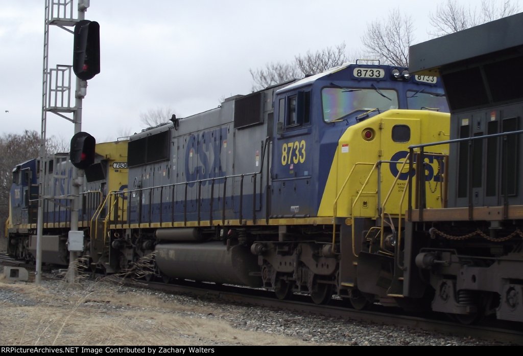CSX 8733